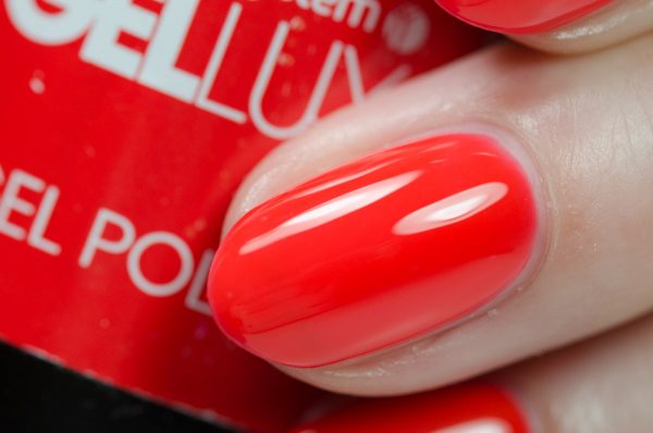 Gellux Gel Polish Picture Perfect Collection - Nail Lacquer UK